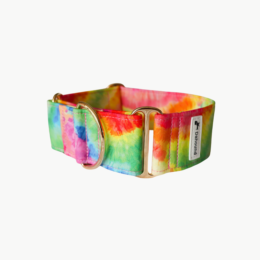 Wide Martingale Collar | Rainbow Paddle Pop (Soft Cotton) – Dahound