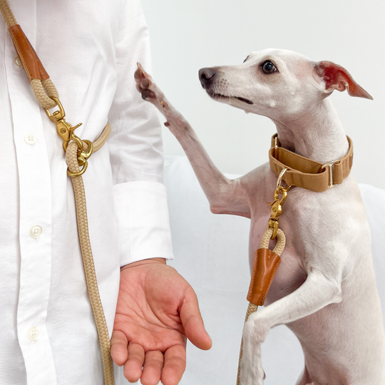 Signature Rope Hands-Free Leash | Beige (Leather & Brass Hardware ...