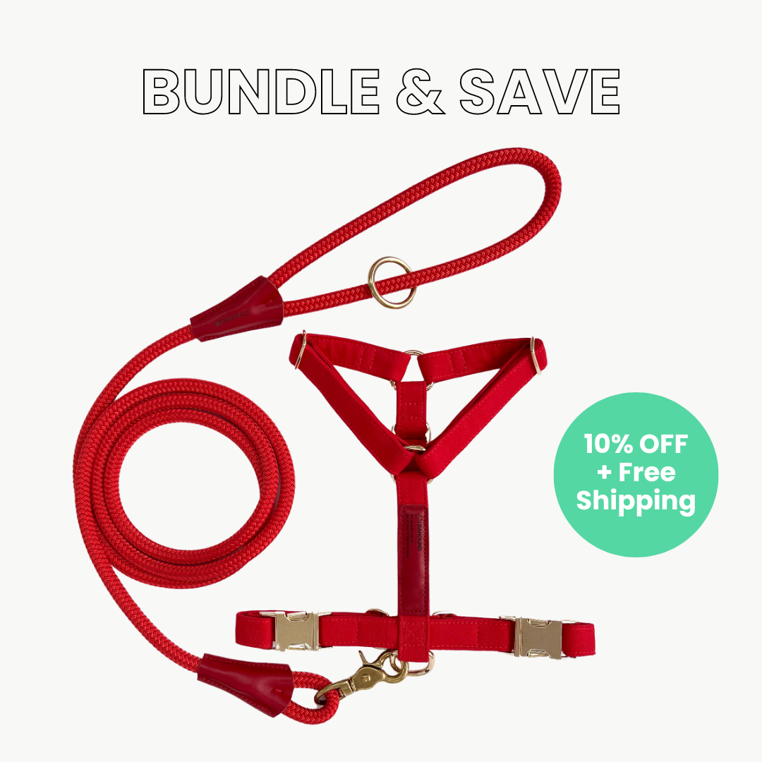 Signature Harness & Rope Lead Bundles – Dahound