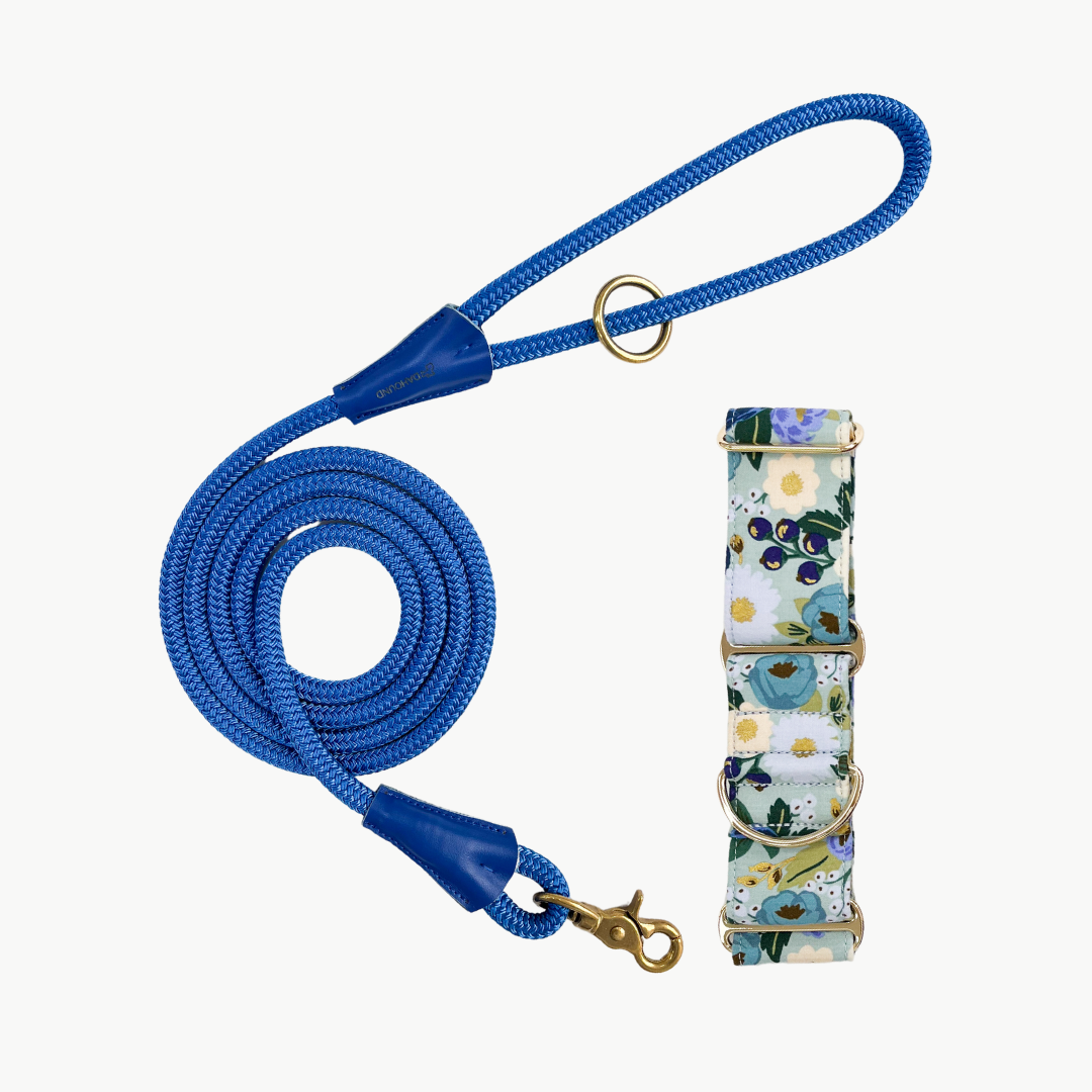 Martingale Collar & Rope Lead Set | Blue & White Floral – Dahound