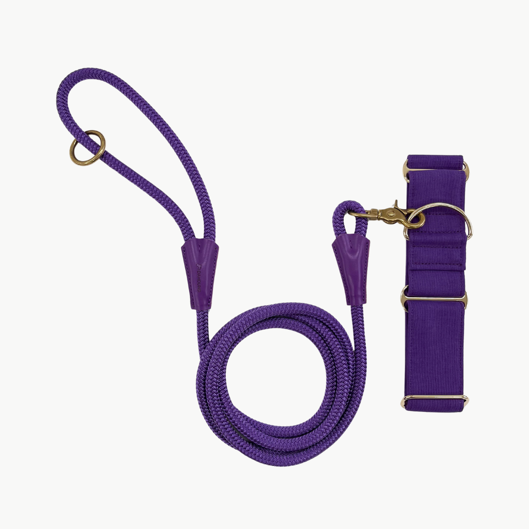 Signature Martingale Collar & Rope Lead Set | Purple – Dahound