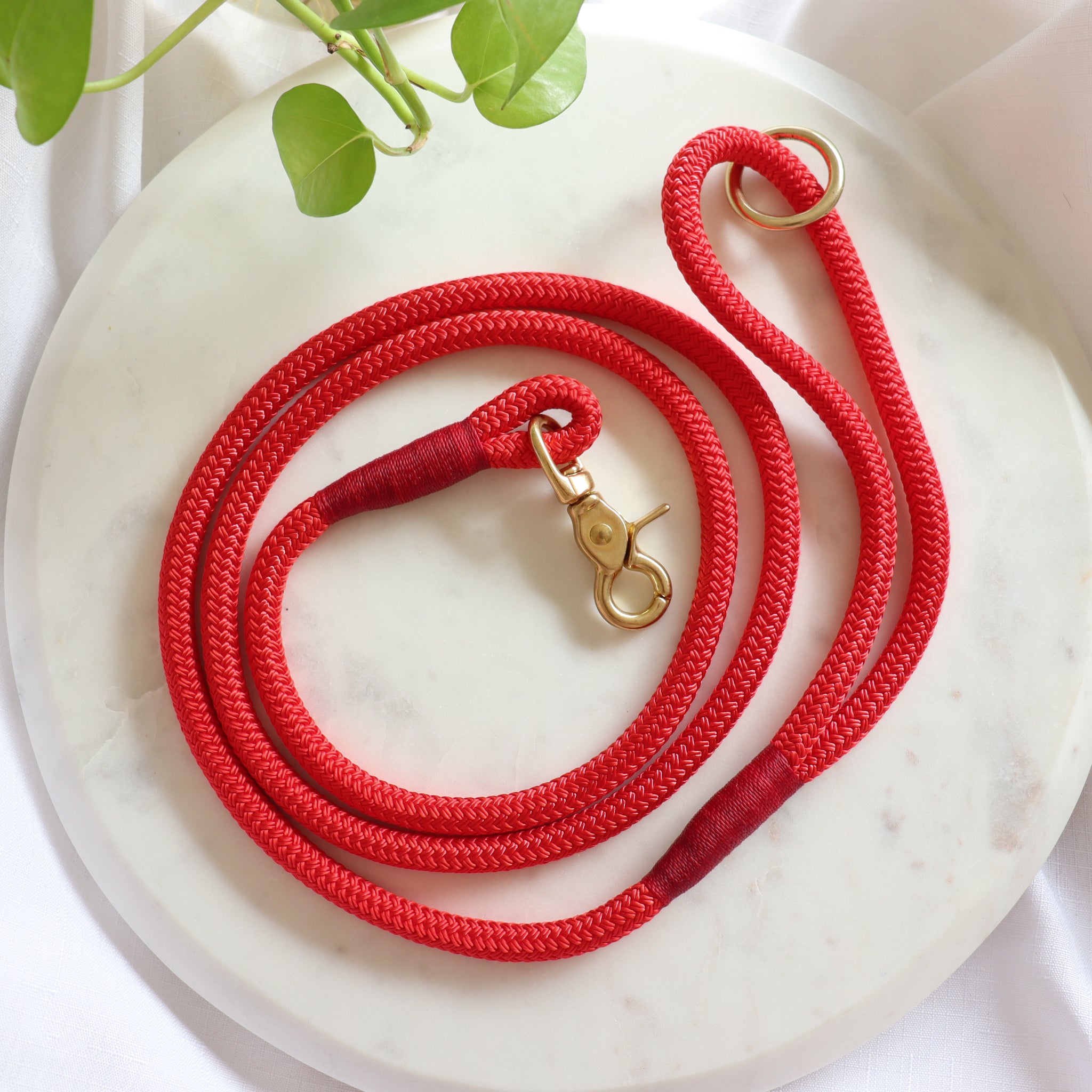 Premium Rope Dog Leash with Brass Fitting | Solid Red – Dahound